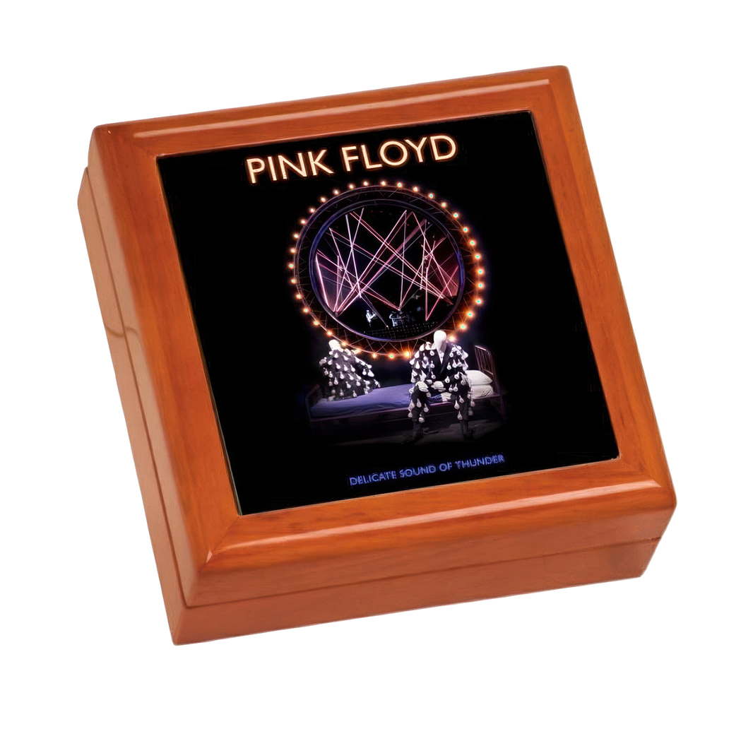 Delicate Sound of Thunder Anniversary – Pink Floyd